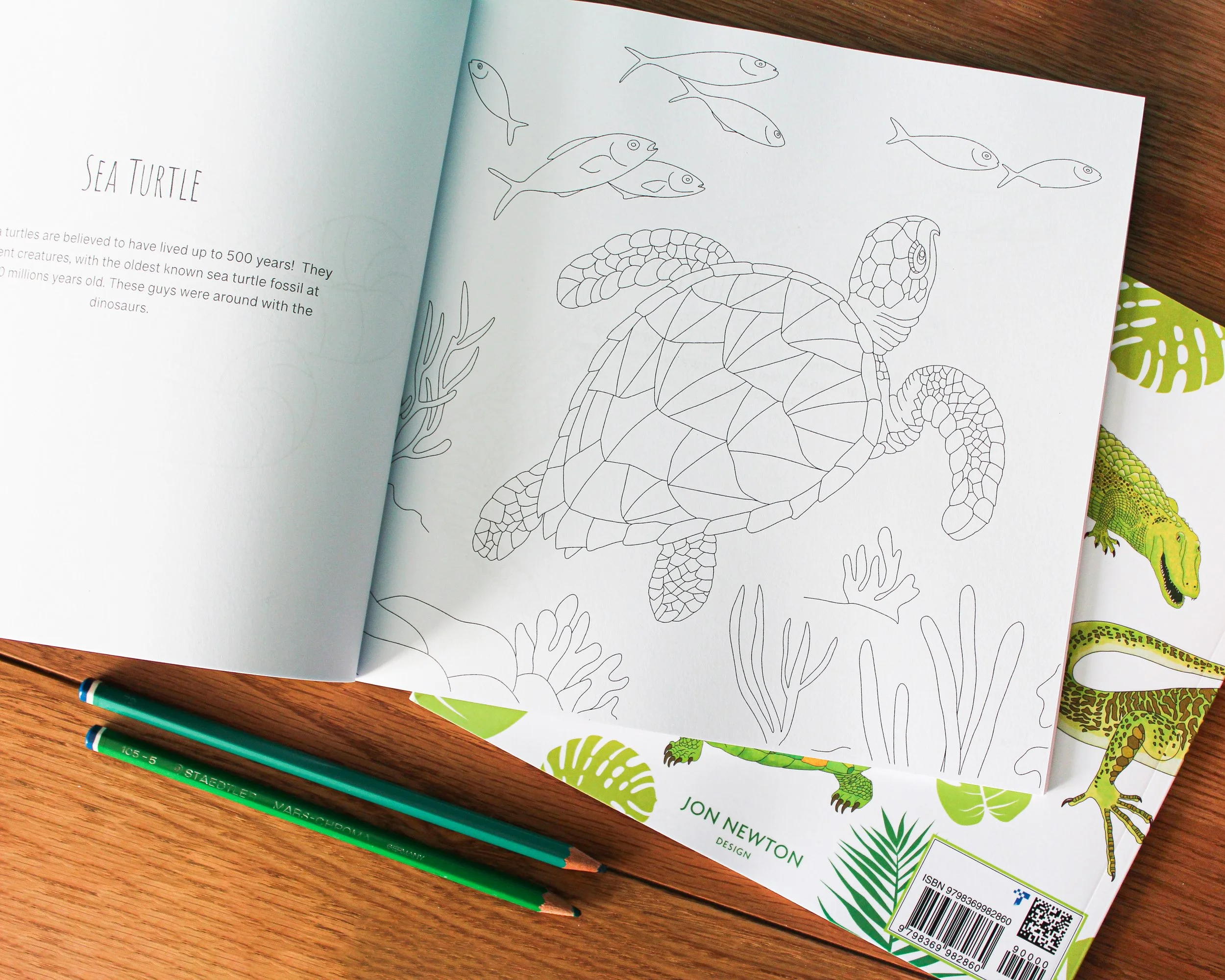 Newton Design.co — Our Logo Design Process