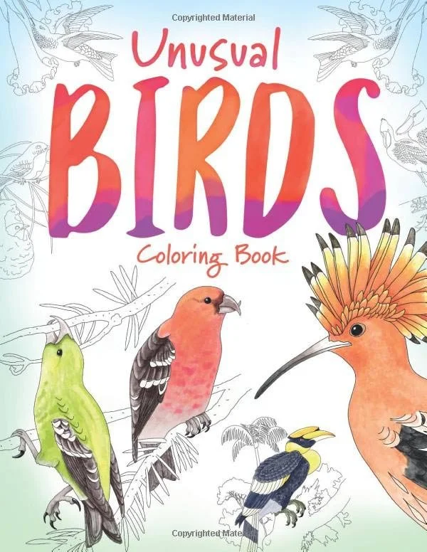 Newton Design.co — Colouring books
