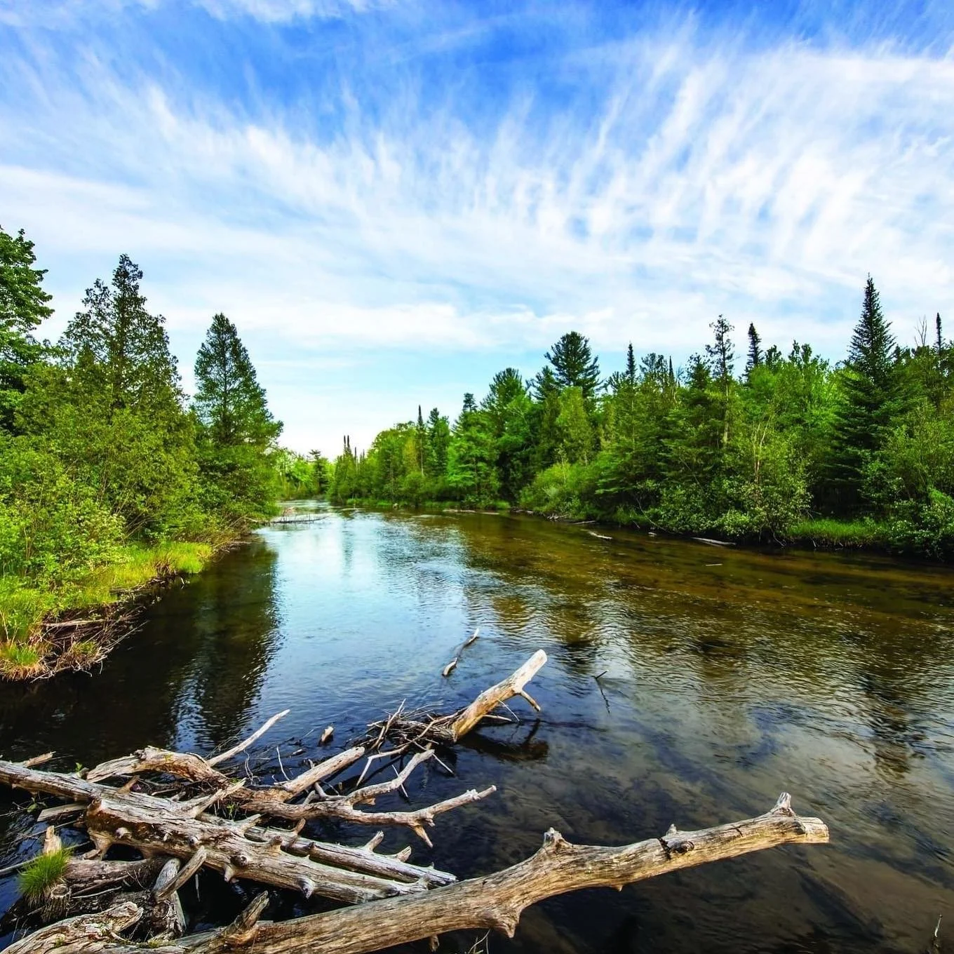 About — The Oleson Foundation