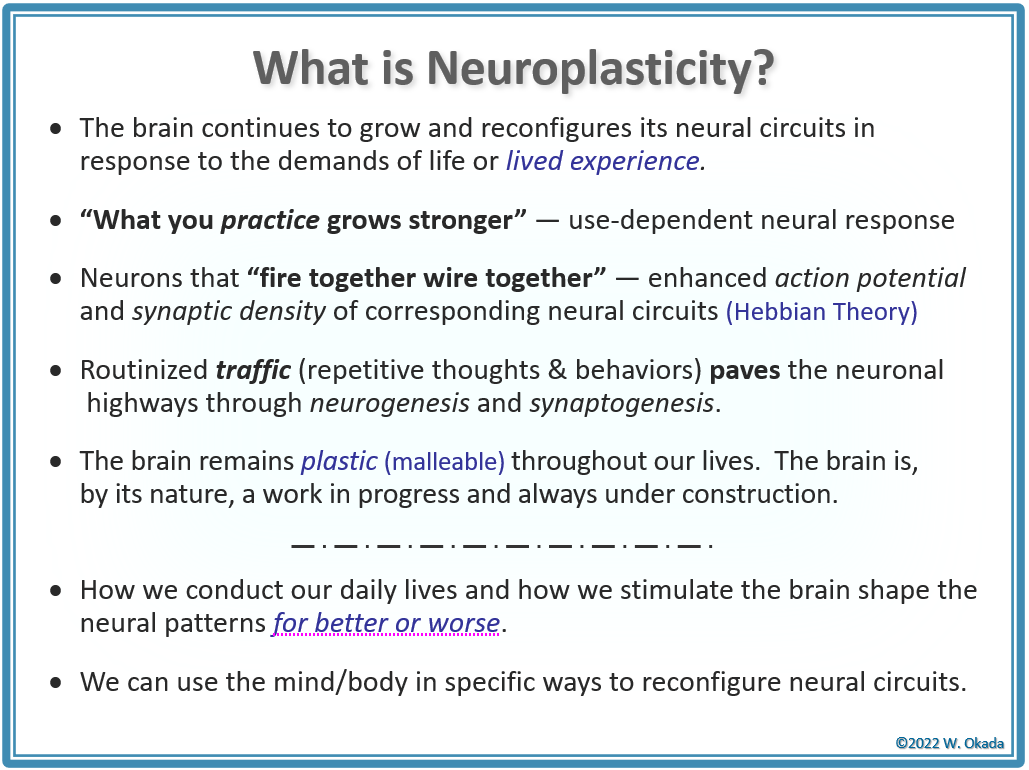 What is Neuroplasticity? — Mindful Insight for Self-Compassion