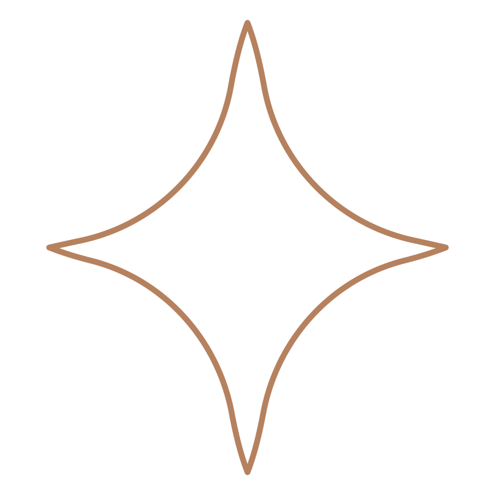 About the Band — Southern Raised | Modern Bluegrass Band