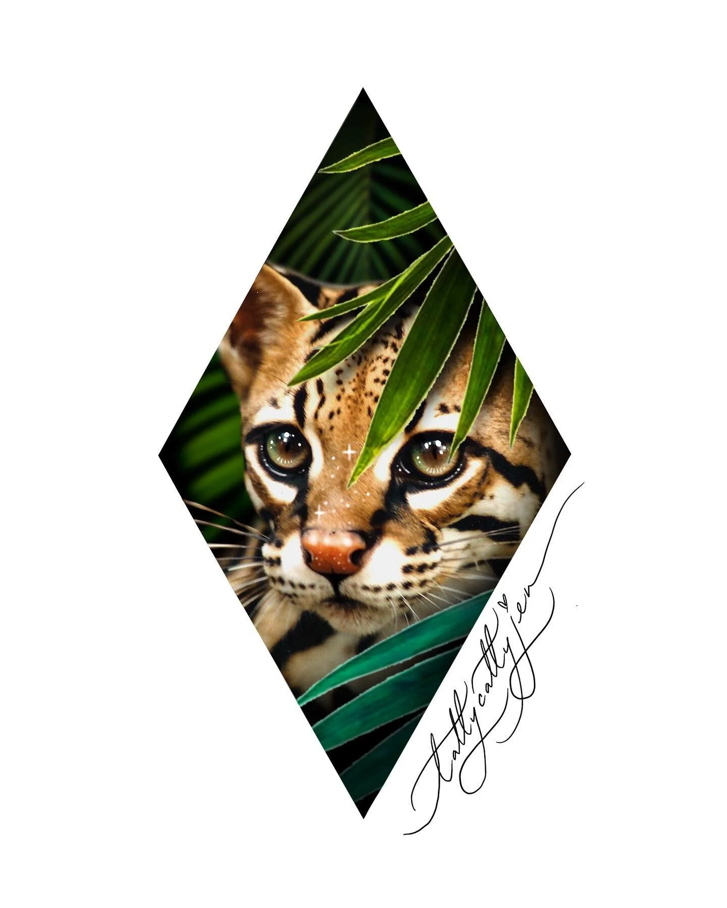 Artists — Oracle Tattoo