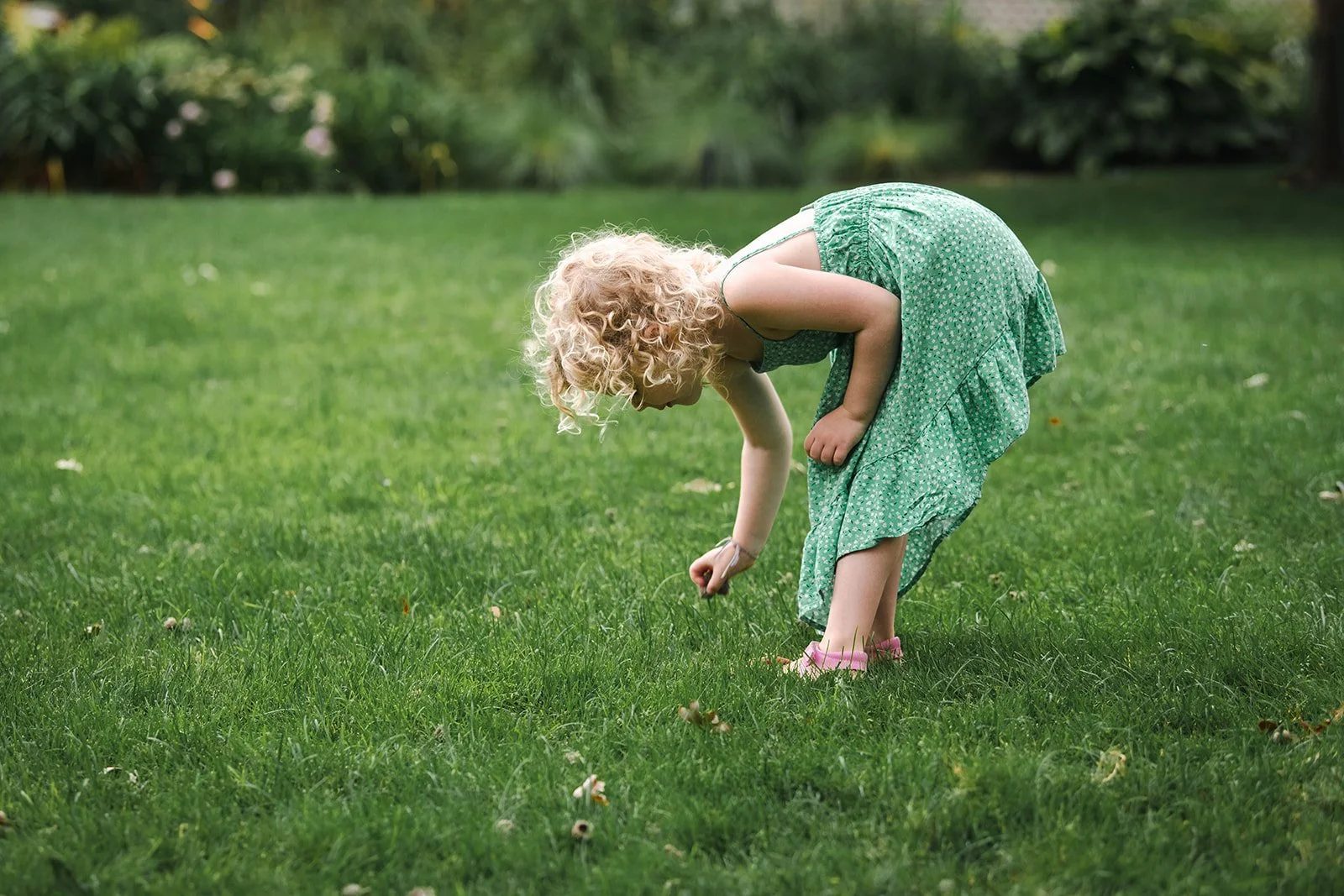 Meadowlark Microschool: Nature Based Waldorf Inspired First Grade ...