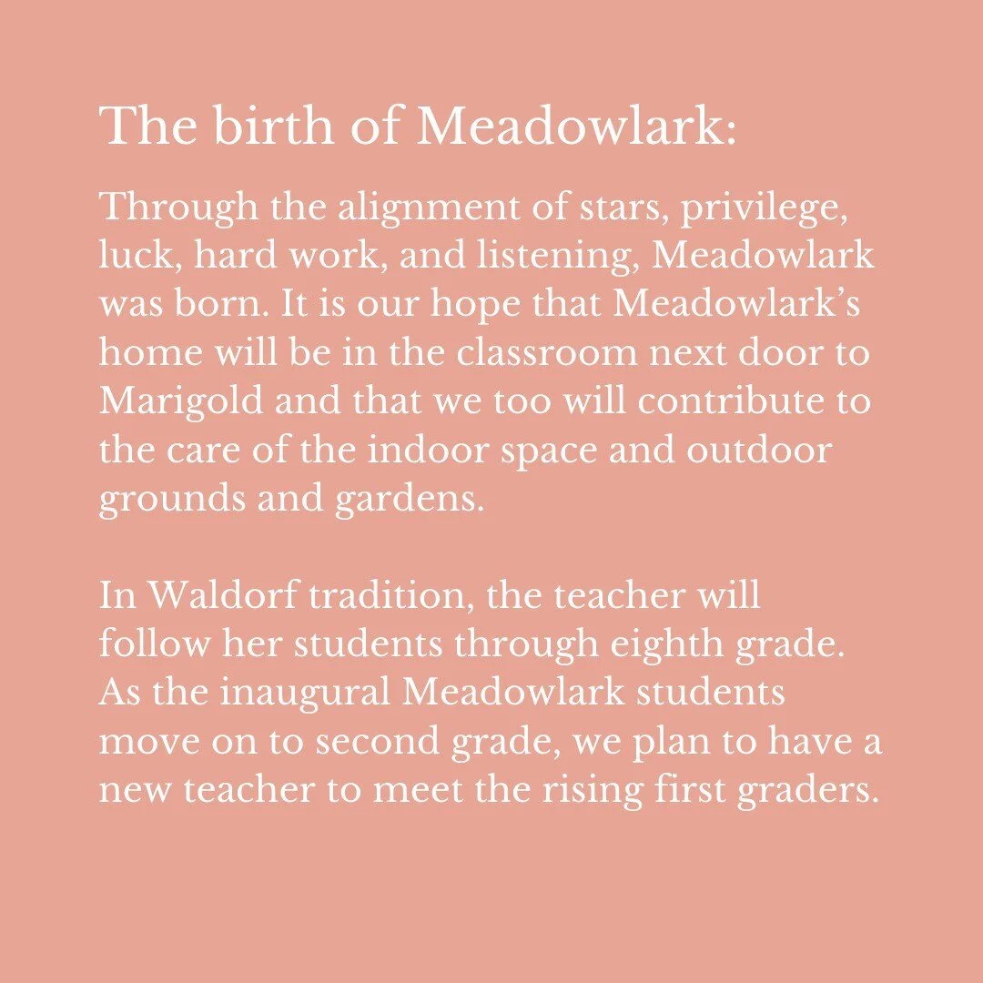 Meadowlark Microschool: Nature Based Waldorf Inspired First Grade ...