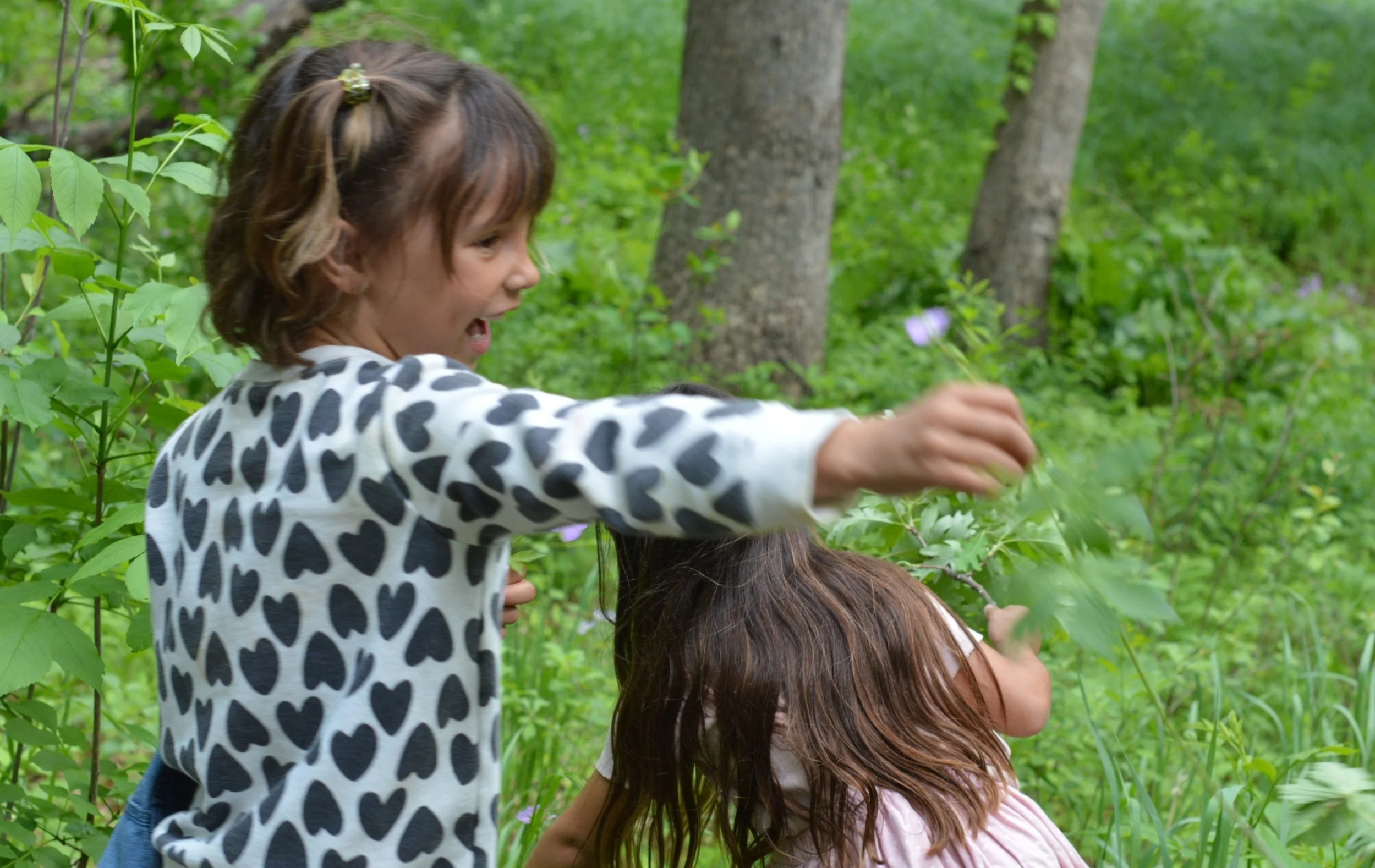 meadowlark microschool: Nature Based Waldorf Inspired First Grade ...