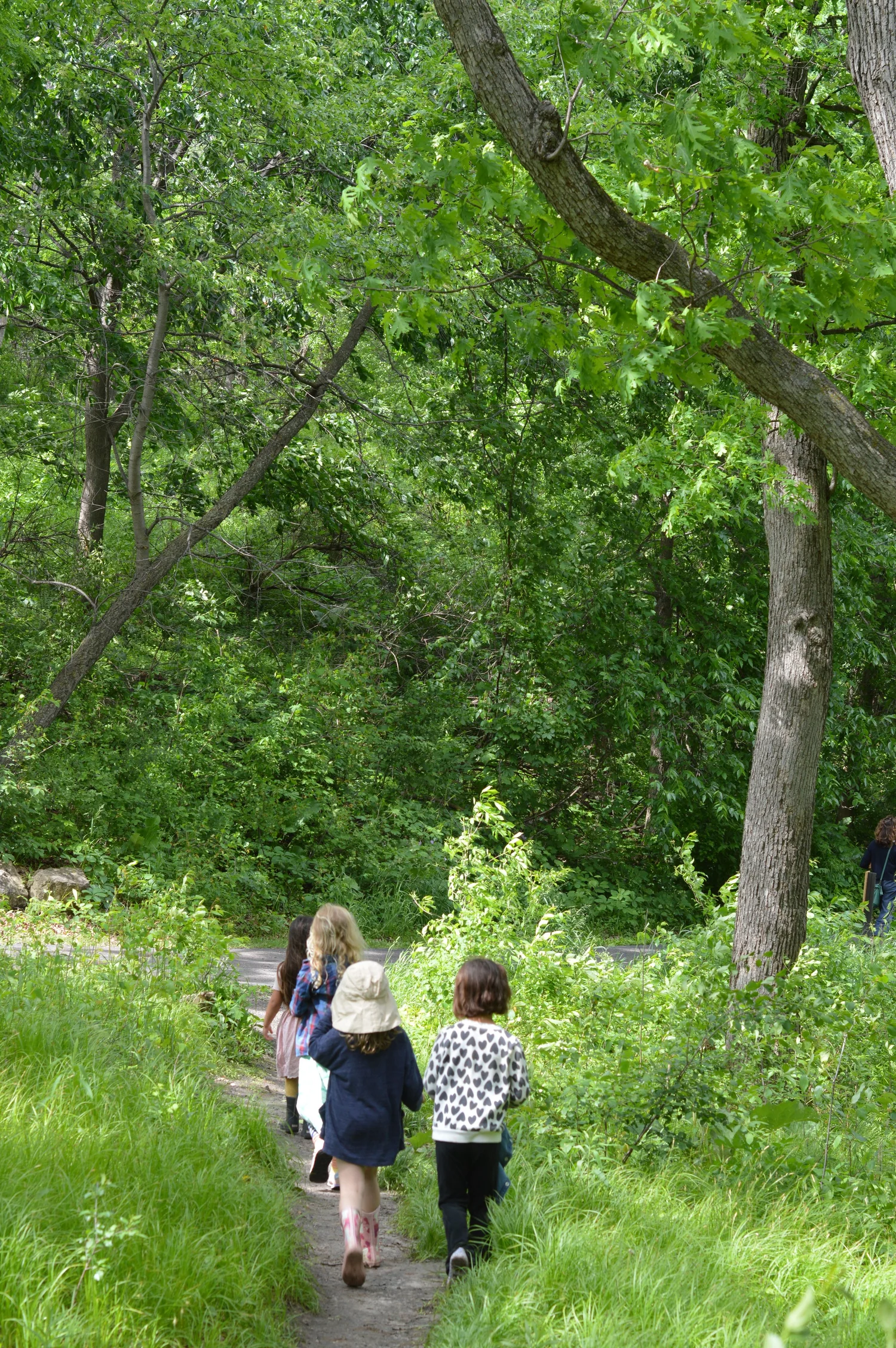 meadowlark microschool: Nature Based Waldorf Inspired Microschool Saint ...