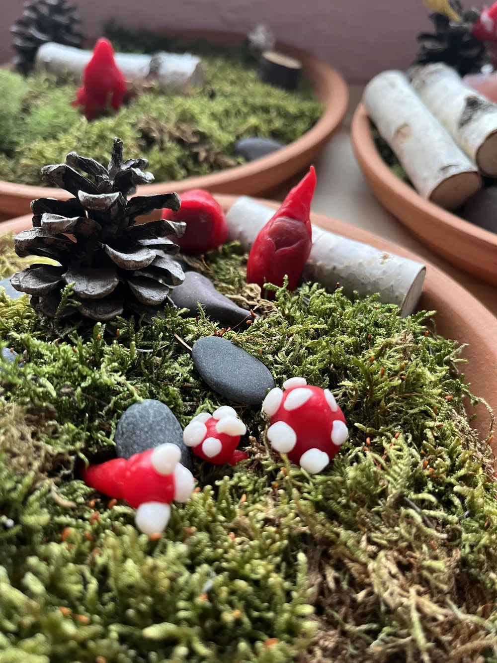 Meadowlark Microschool: Nature Based Waldorf Inspired First Grade ...