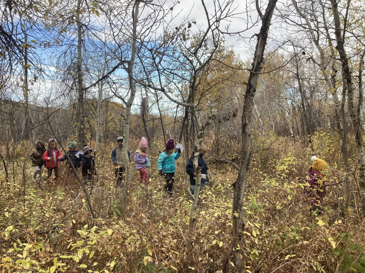 MOSS's Mission & History — Montana Outdoor Science School