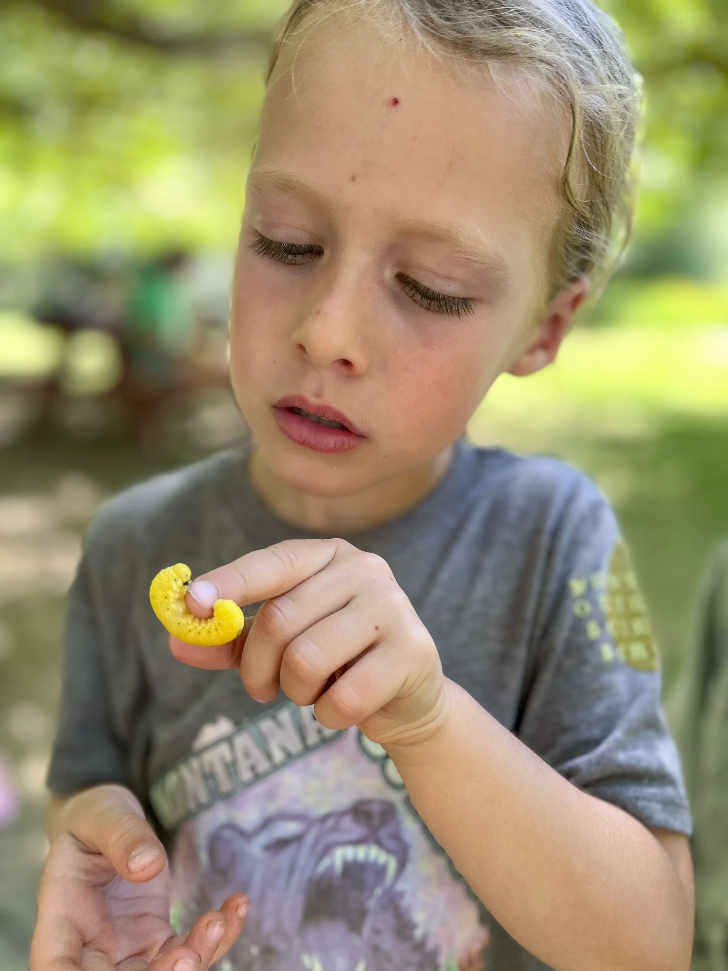 Montana Outdoor Science School
