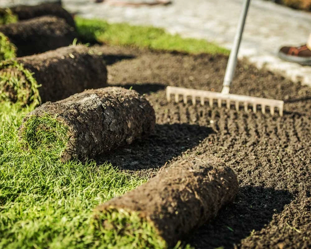 Services — Capstone Landscape Management