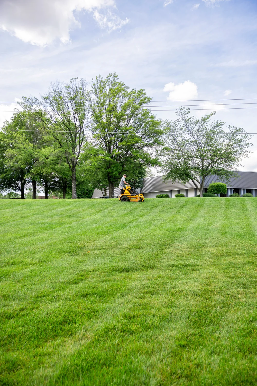 Capstone Landscape Management