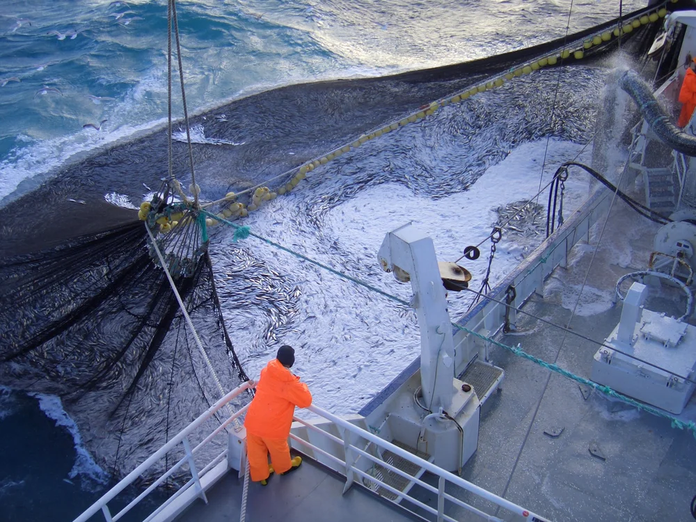 Norwegian Quality Netting