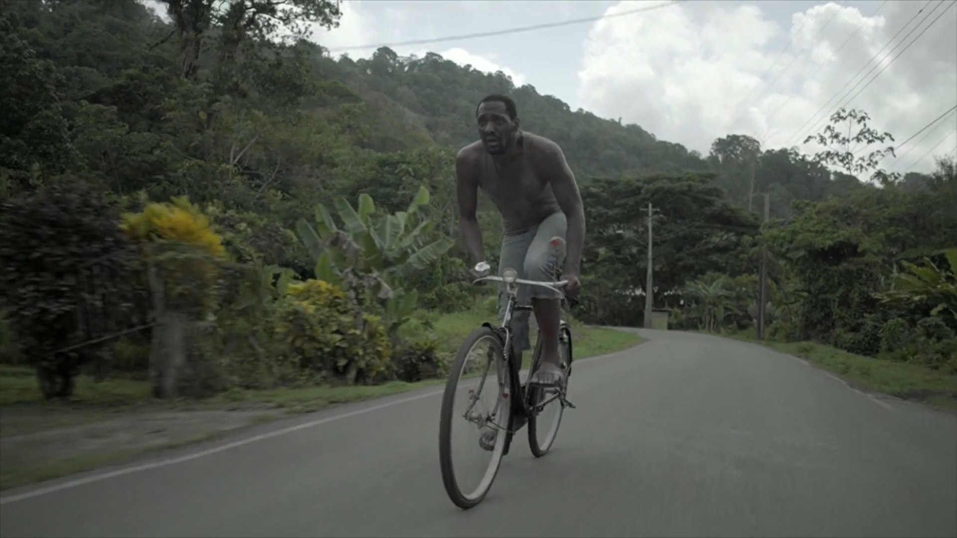 Gallery — Paul Pryce