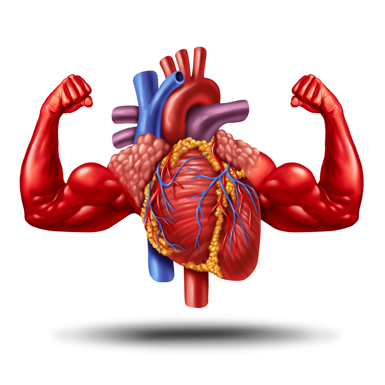 Bio Pump for Men: Enhance Blood Flow & Testosterone Naturally — Bio Liv