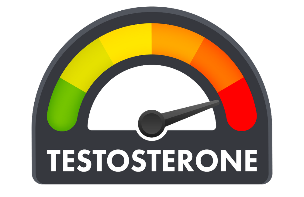 Bio Pump for Men: Enhance Blood Flow & Testosterone Naturally — Bio Liv