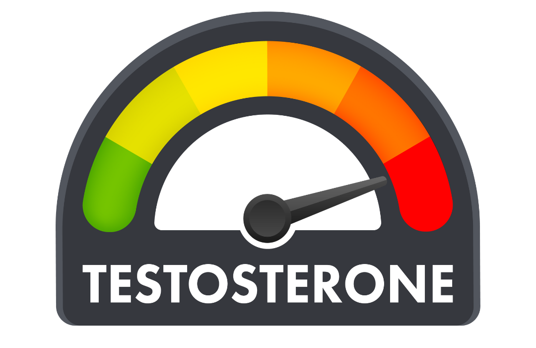 Bio Pump for Men: Enhance Blood Flow & Testosterone Naturally — Bio Liv