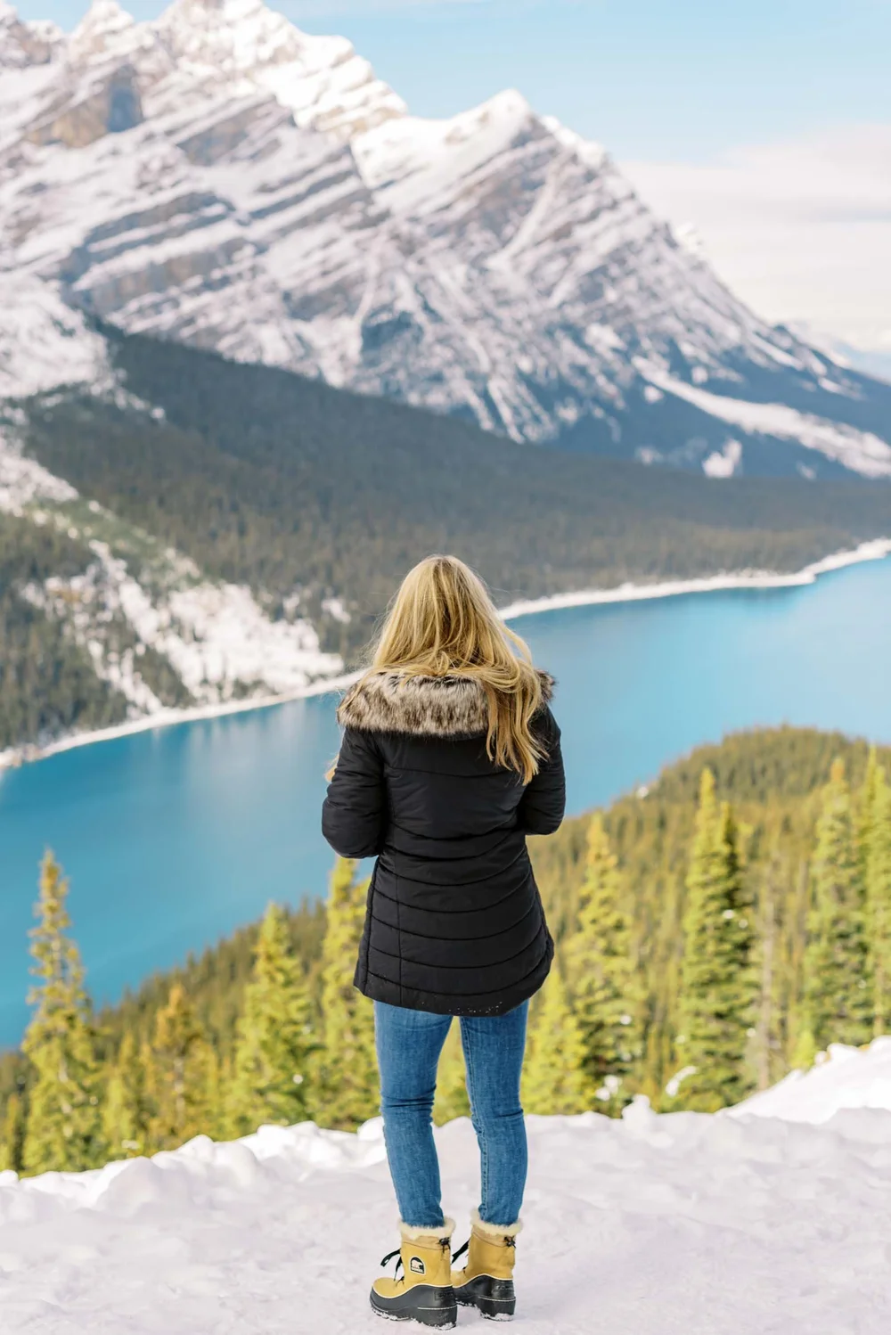 Montana And Canada Travel Guide: From Glacier National Park to Banff ...