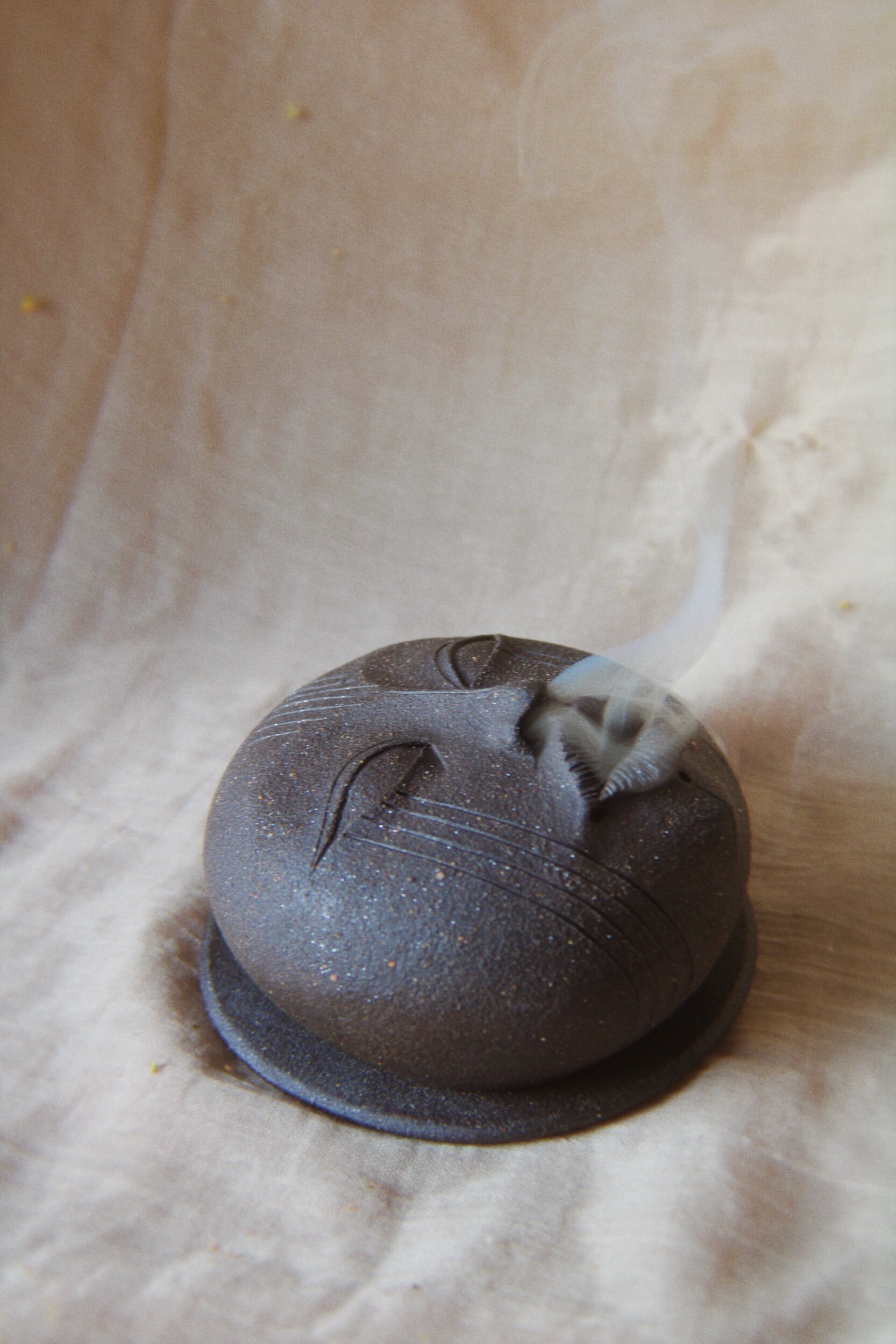 Store — LA VIVA VERDE