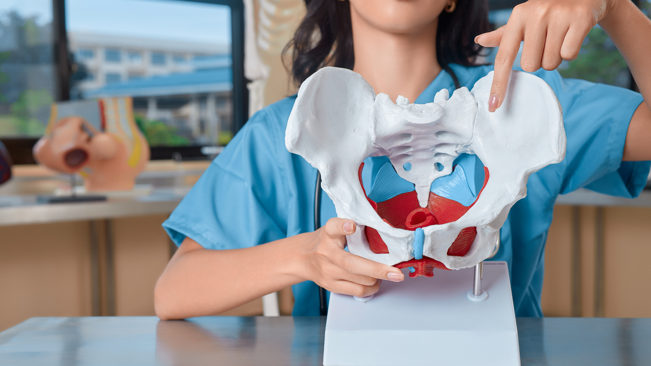 Signs of a Weak Pelvic Floor — Pillar Physio - Georgetown, Texas