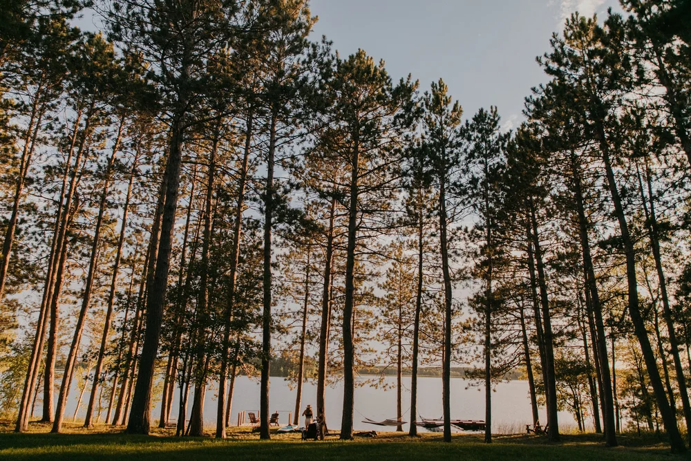 Unplug & Recharge – July 2024 — Wise & Well