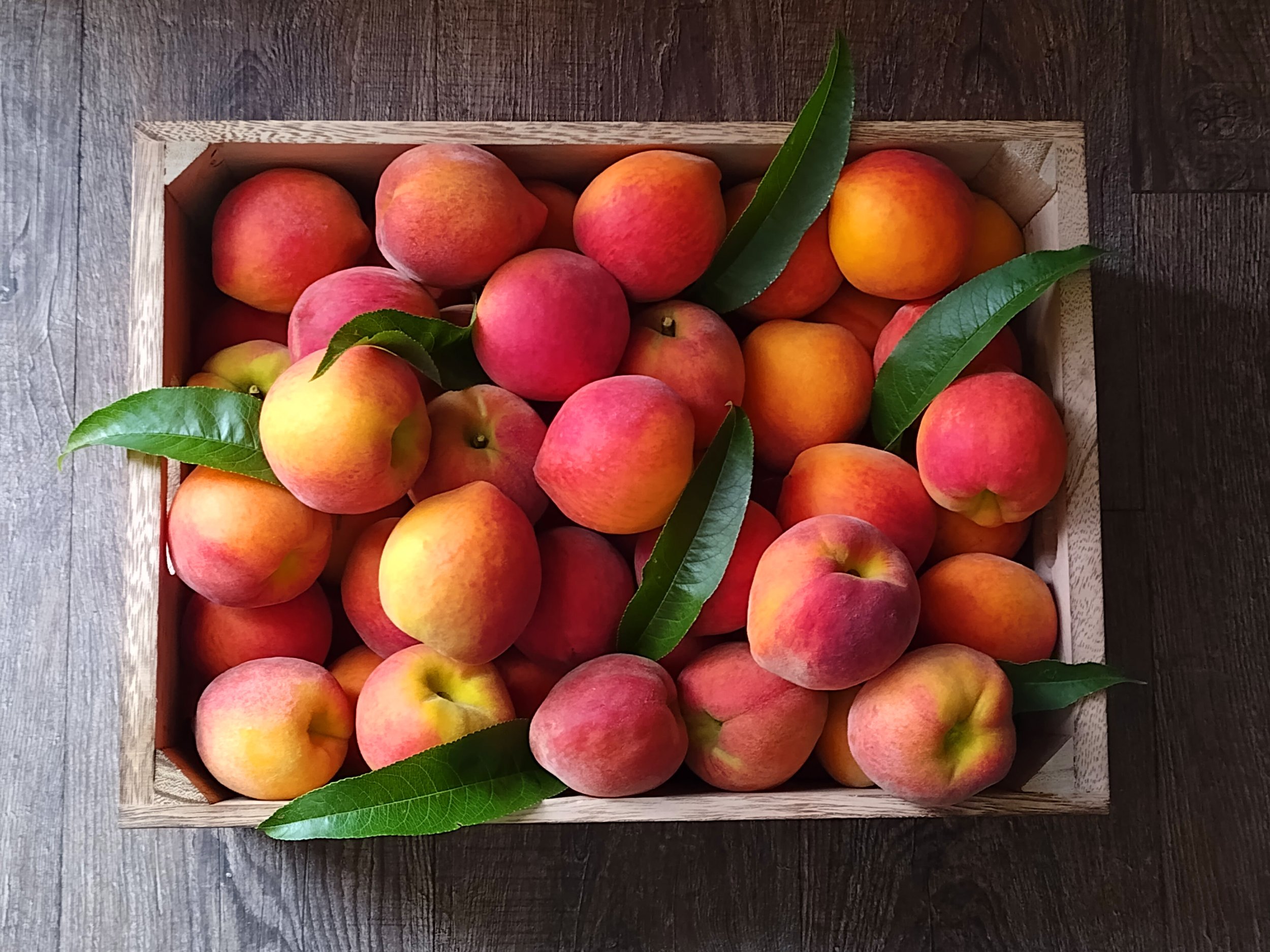 Sand Hill Peach Farm