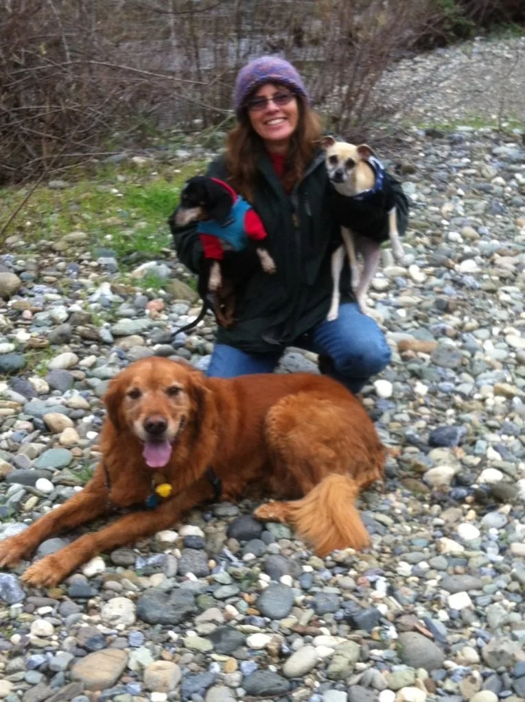 Understanding the Human-Animal Bond | Love Always Veterinary Blog ...