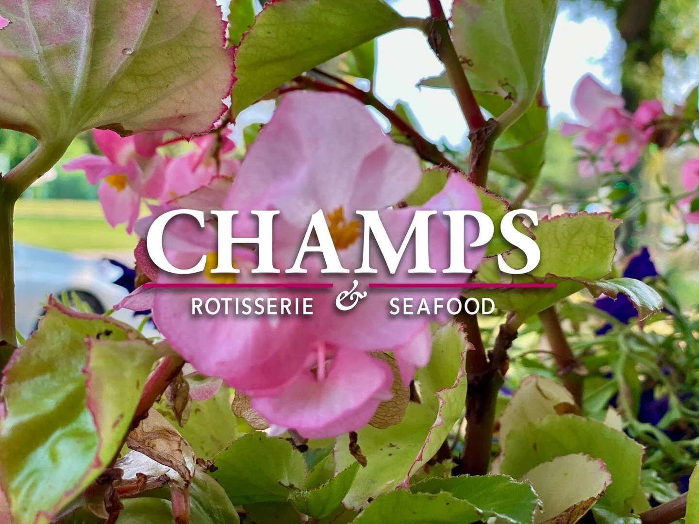 Champs Rotisserie and Seafood