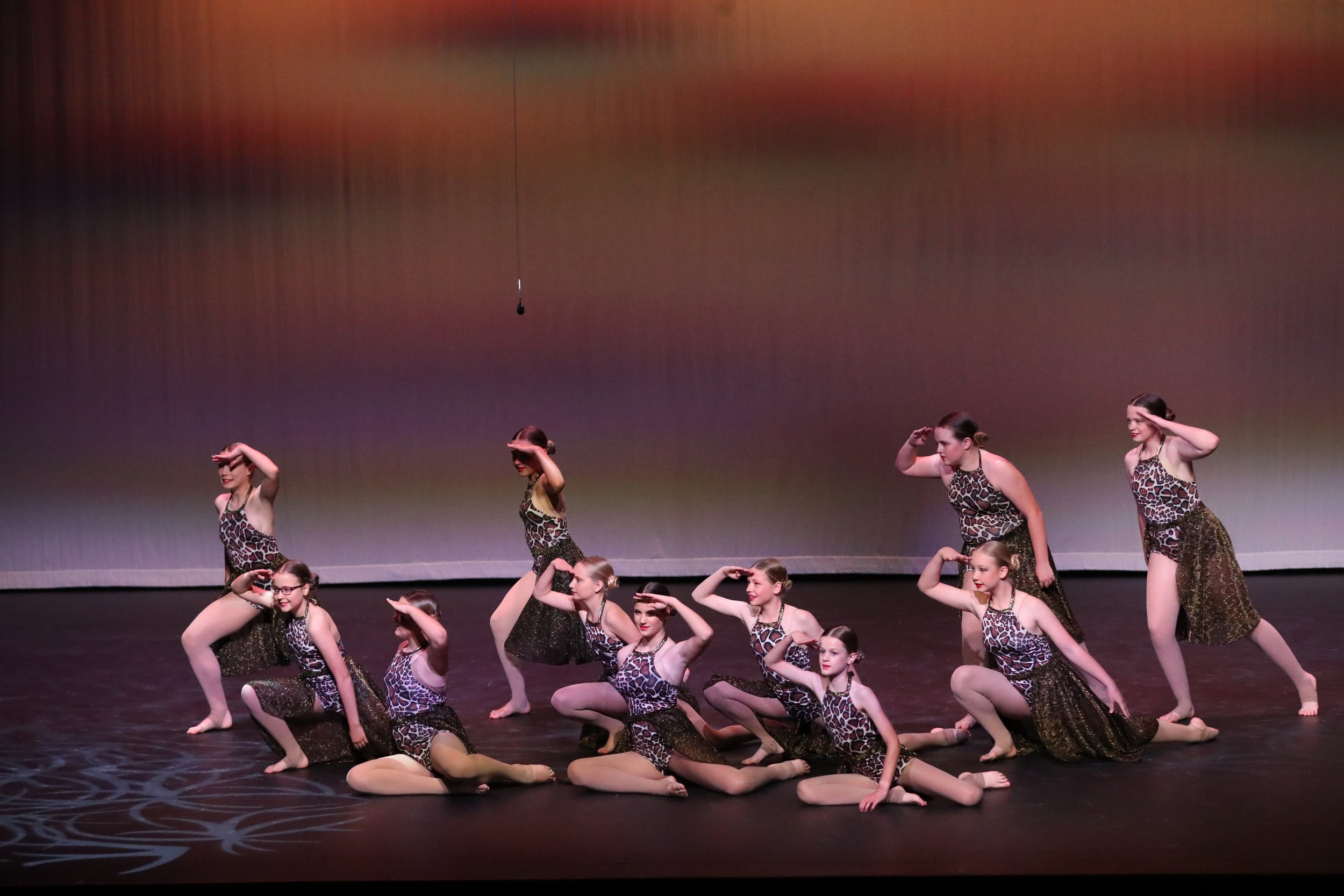 Enrolments — WS Dance