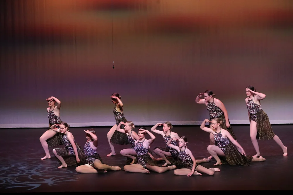 Enrolments — WS Dance