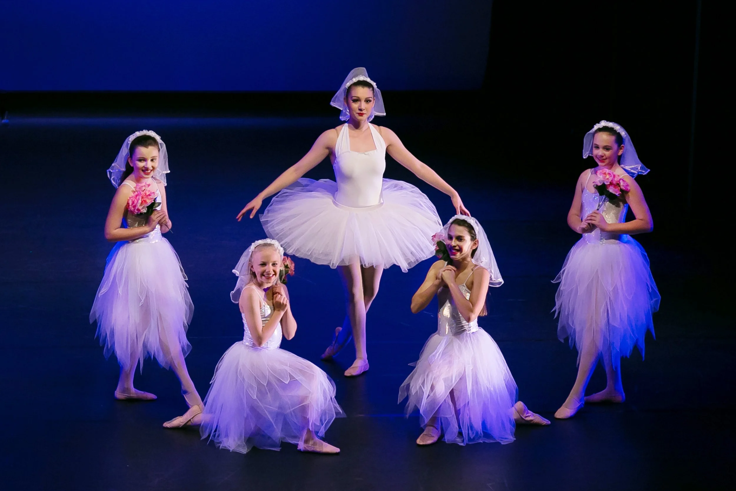 Enrolments — WS Dance