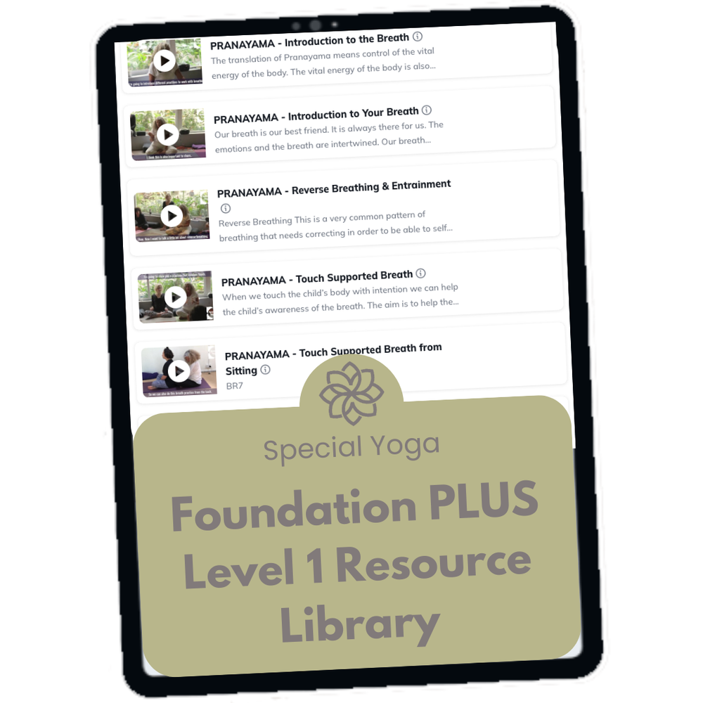 Special Yoga for Special Needs Level 2 — special yoga