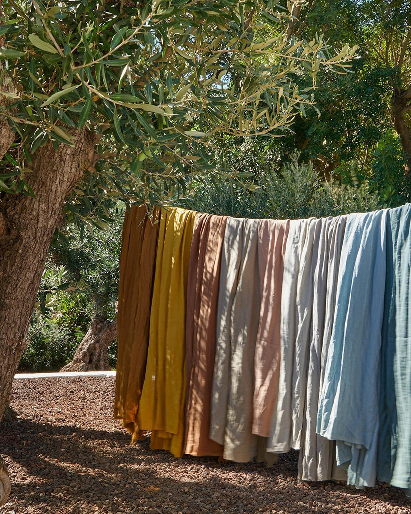 Rugs — Abbode Interiors