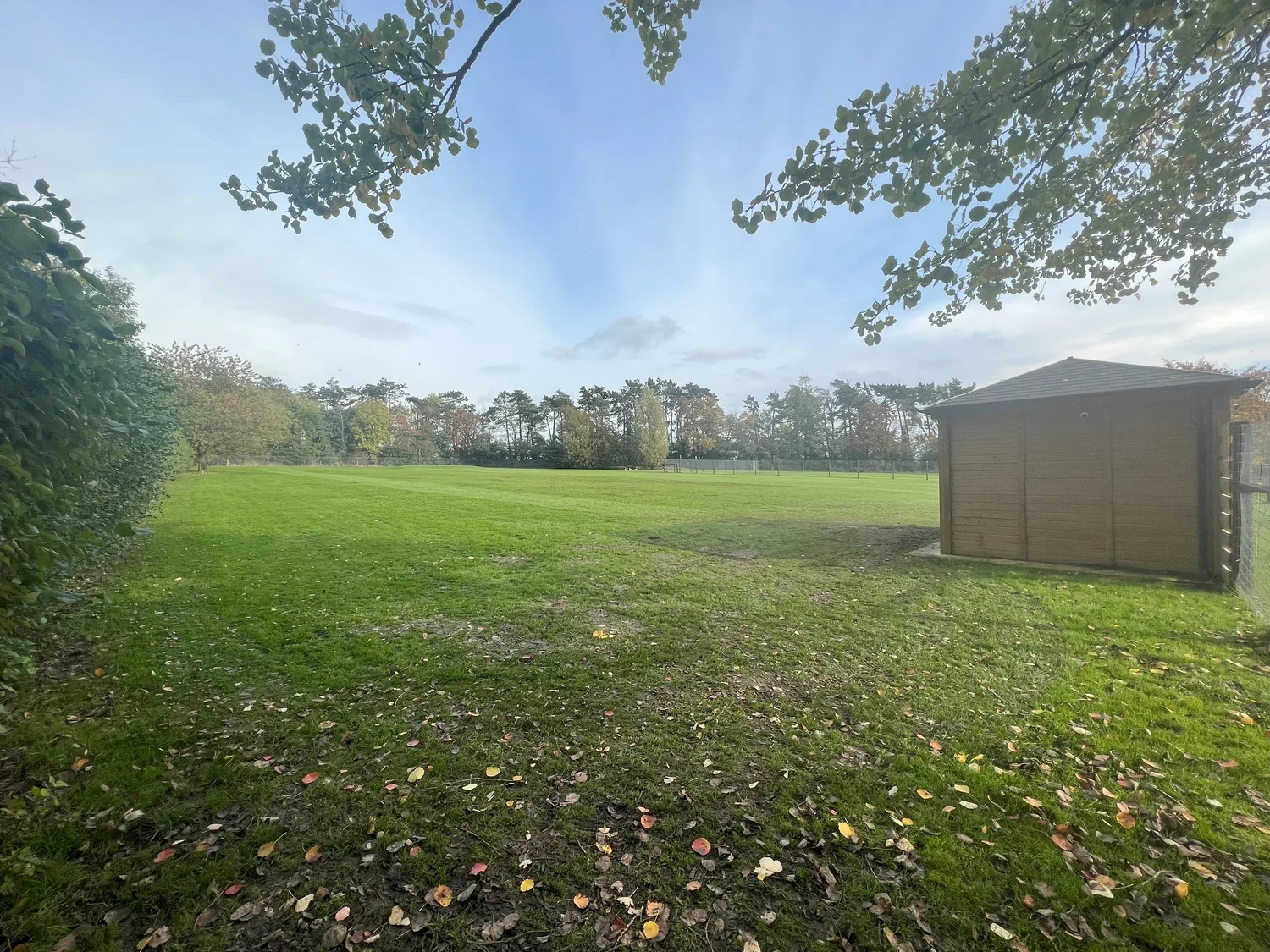 Burrough Court Dog Field – Paws in The Park