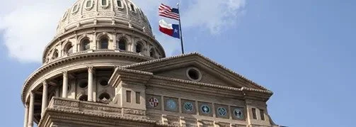 Texas DIR Contract Vehicles for Government Organizations — iBridge Group