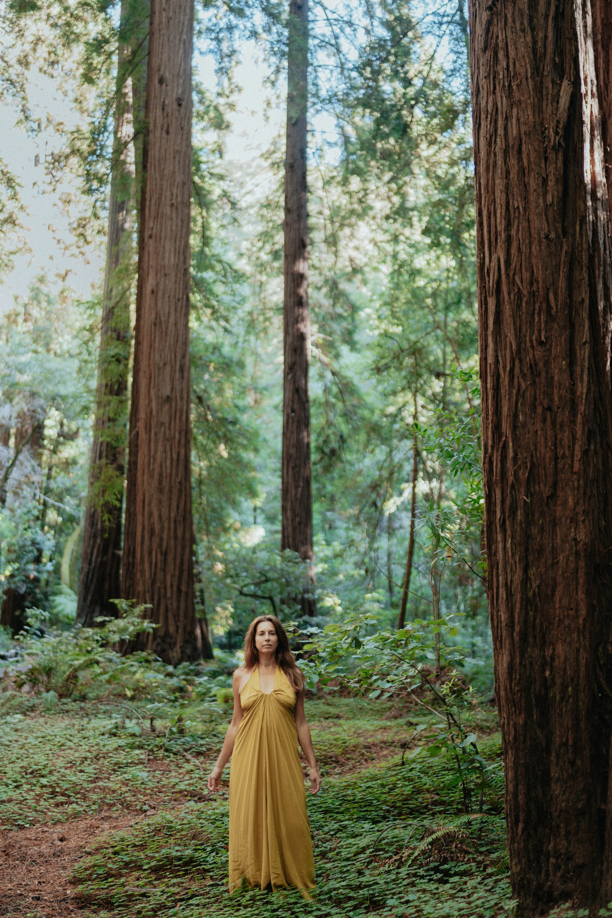 Roots — Regulate with Amy