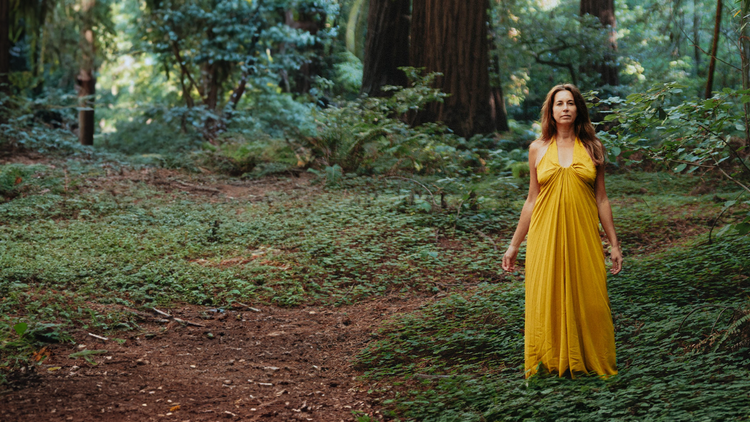 Roots | Empower Your Nervous System—Join Now — Regulate with Amy