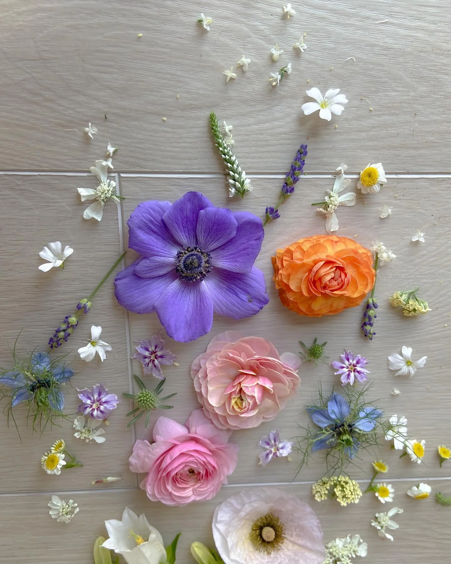 PROCLAMATION FLOWERS Flower farm + design studio, Wilmington, IL