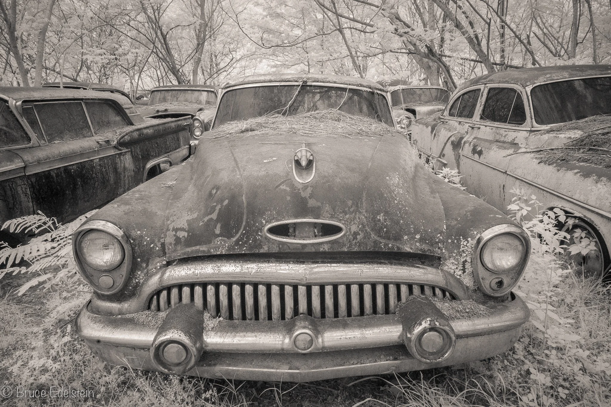 Gallery — Bruce Edelstein