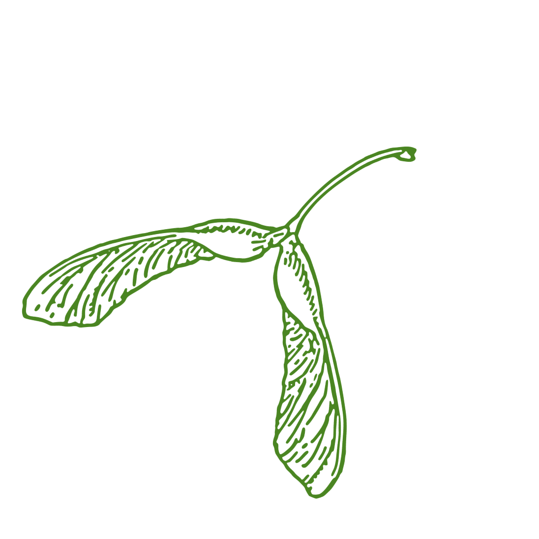 About Samara — Samara Alpha