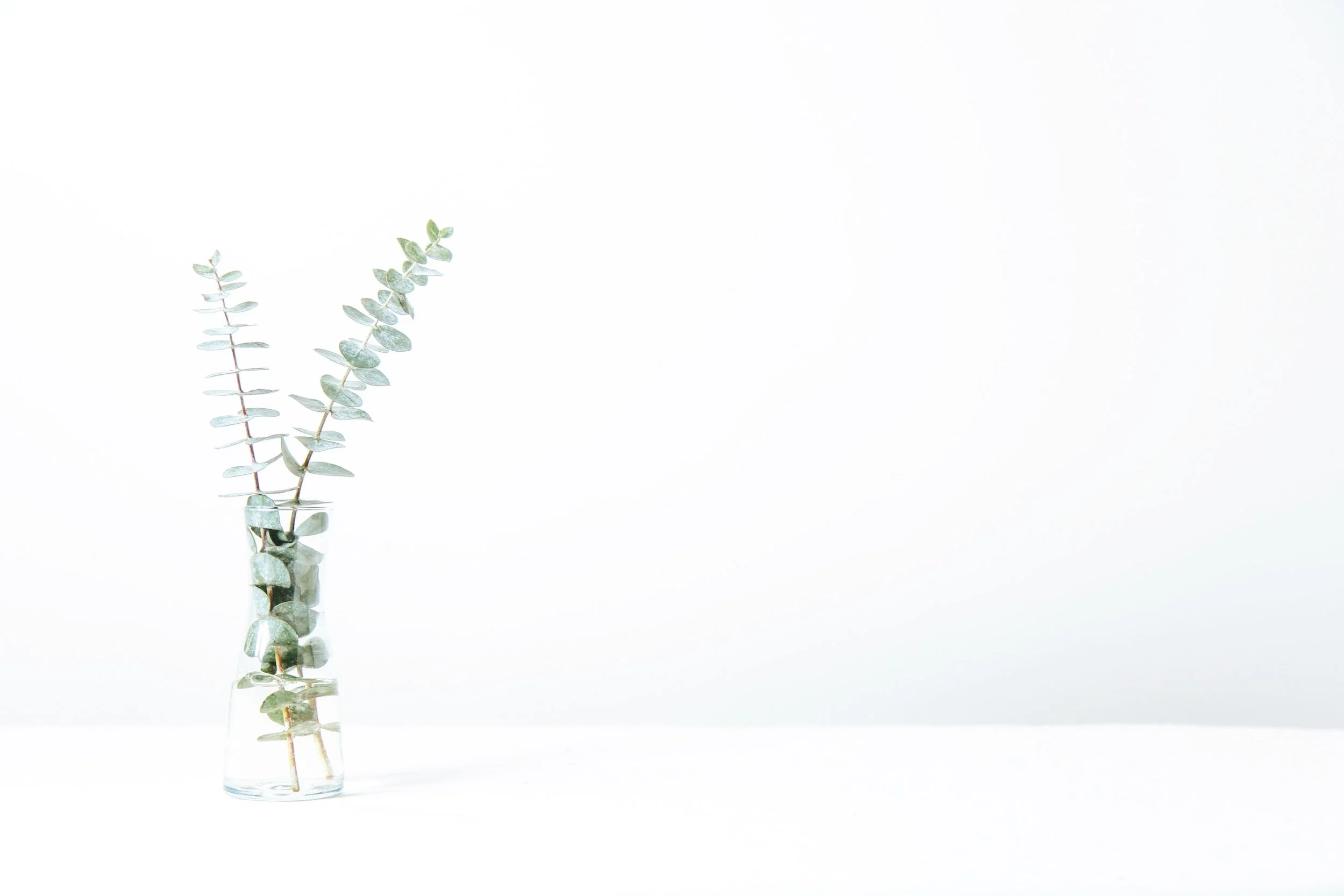 Modern Mods | Explore Custom Body Piercings Today