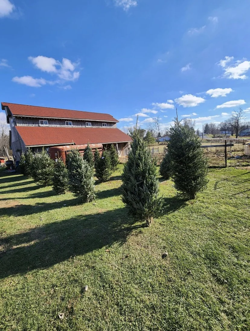 Happy Goat Christmas Tree Farm