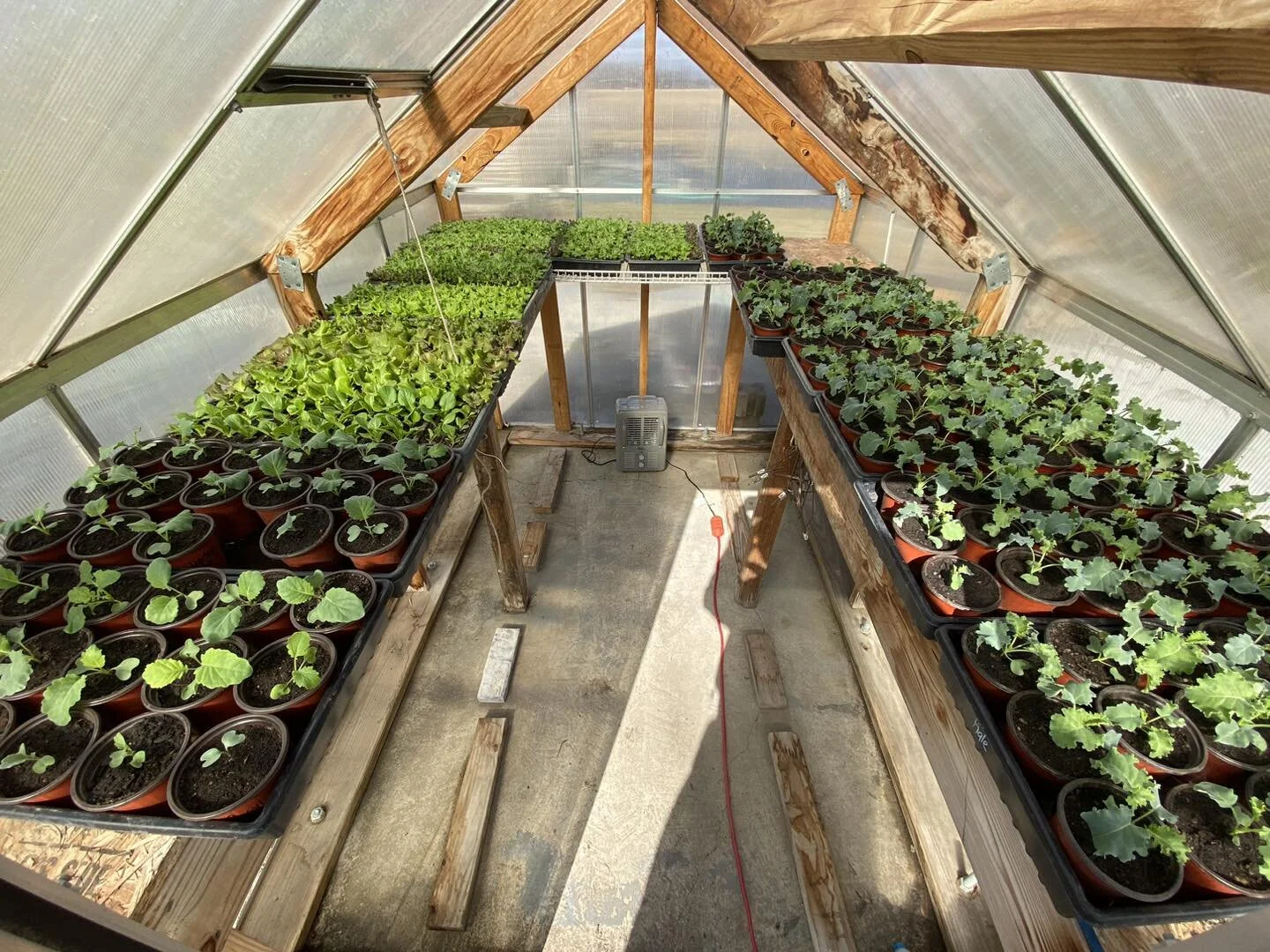 BroxonBerry | High Quality & Fresh Produce | Markle, IN