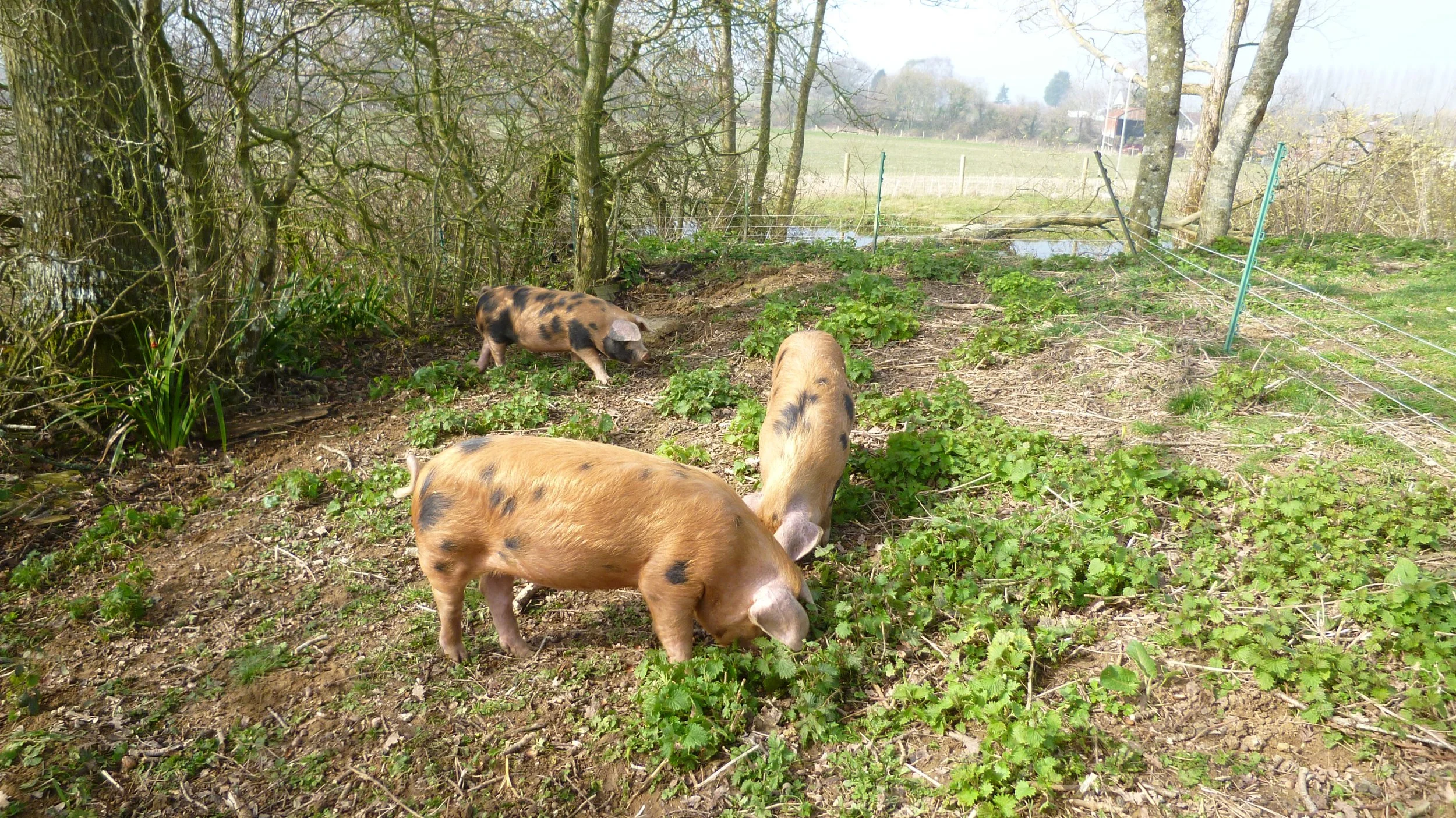 Classes — Tom Benjamin NEAC