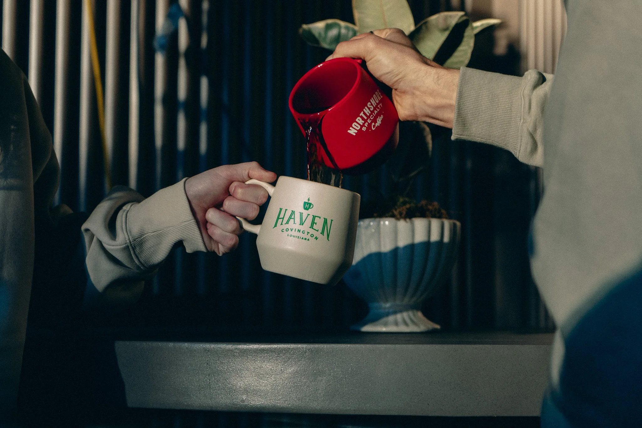 Haven Coffee & Cocktails