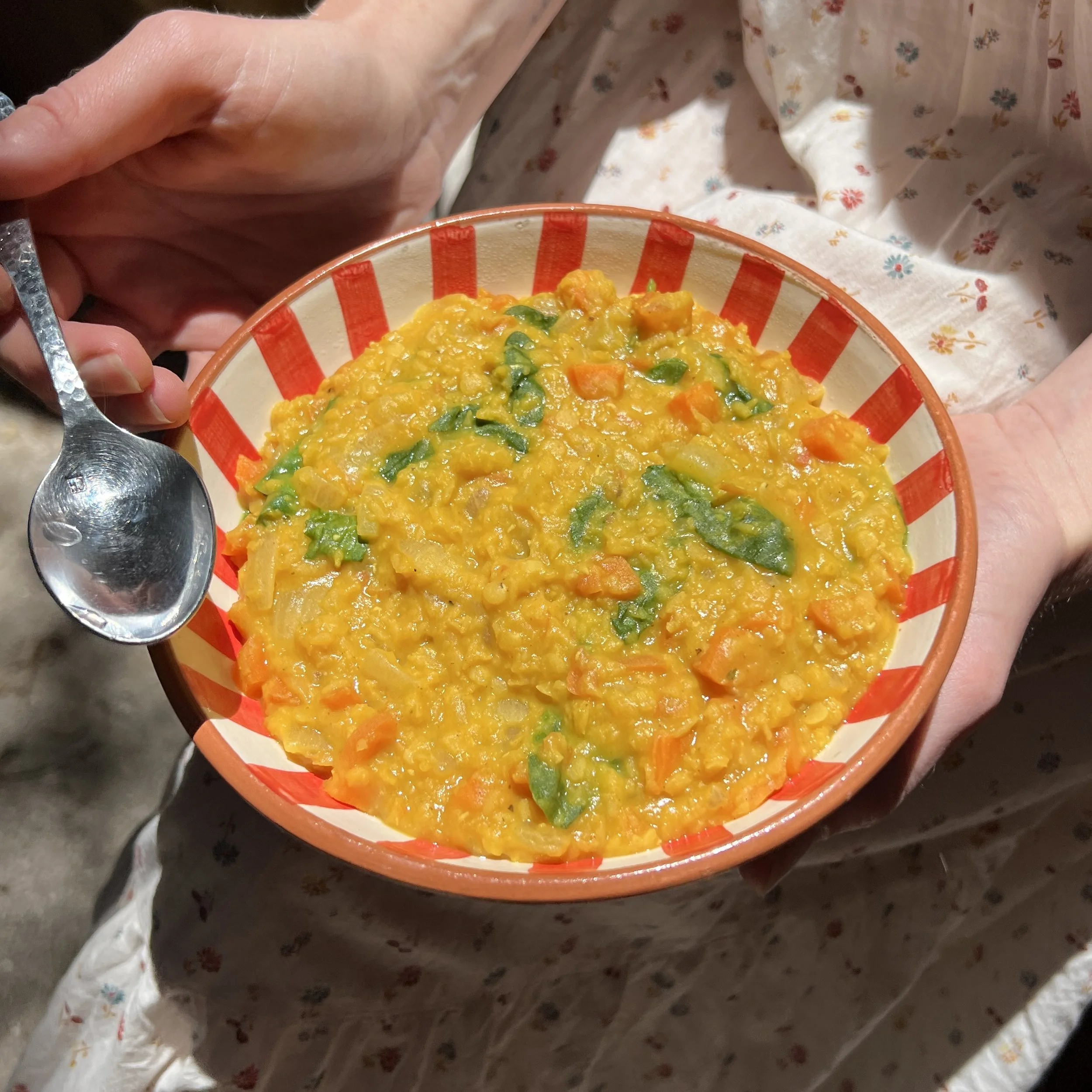 DHAL RECIPE FROM OUR BUDGET FRIENDLY MEAL SERIES — Go Gently