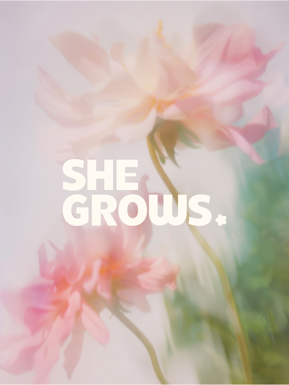 Custom Branding & Web Design | The Sisterhood Studio