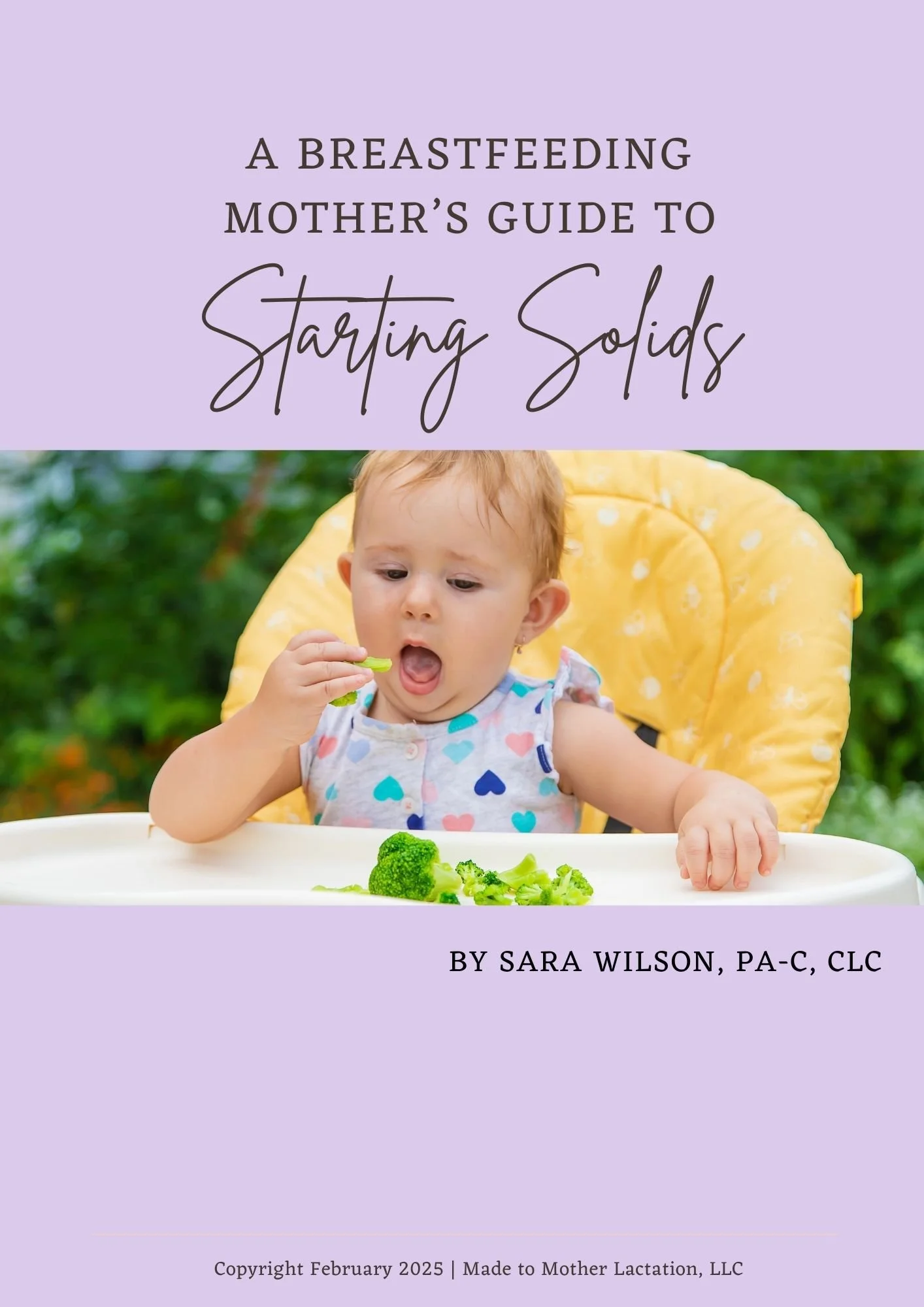 Guide to Starting Solids — Made to Mother Lactation