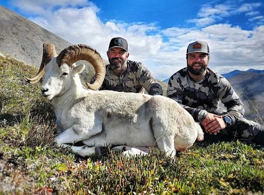 Yukon Dall Sheep Hunts | Guided Dall/Fannin Sheep Hunting — Blackstone ...