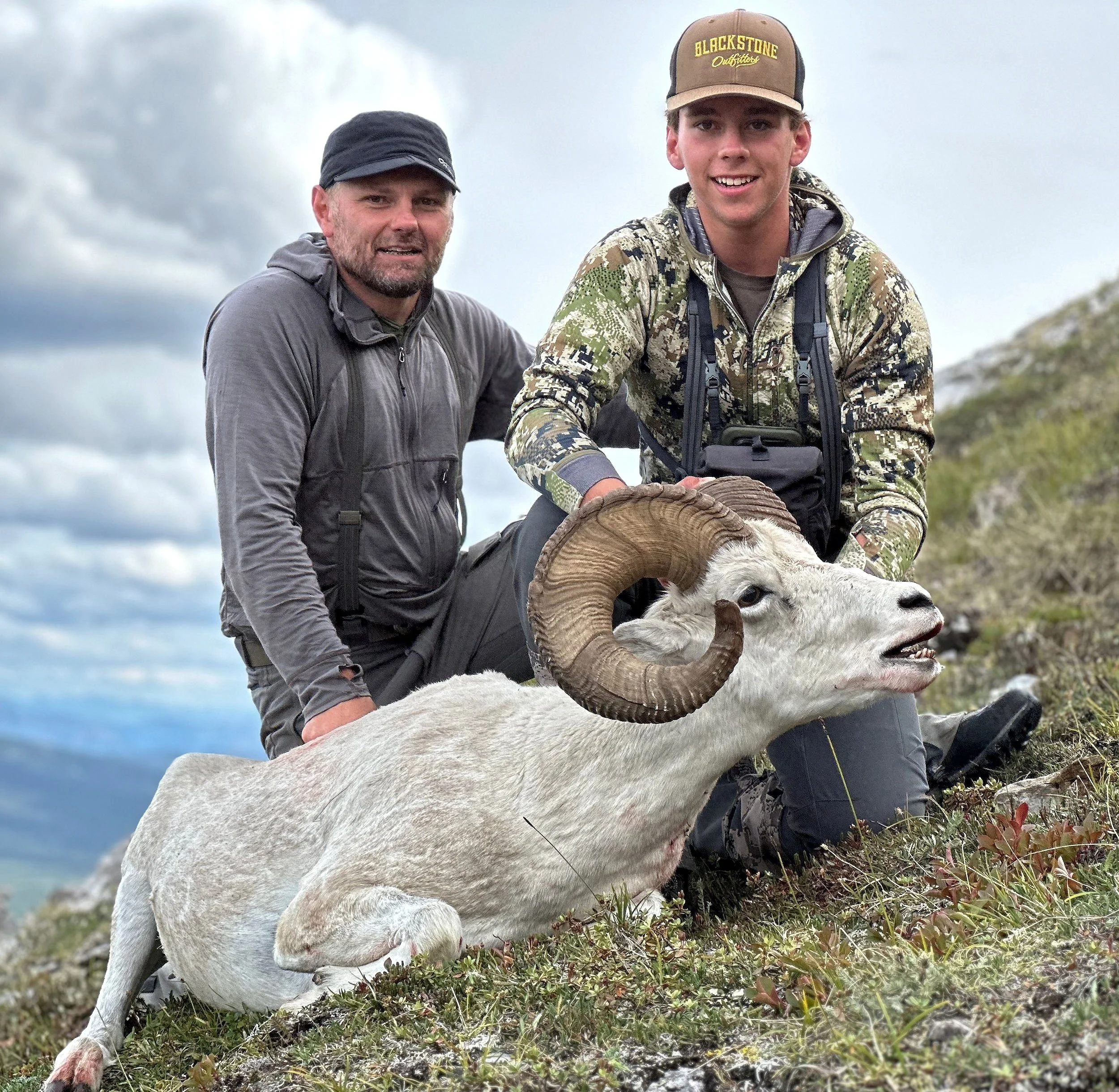 Yukon Dall Sheep Hunts | Guided Dall/Fannin Sheep Hunting — Blackstone ...