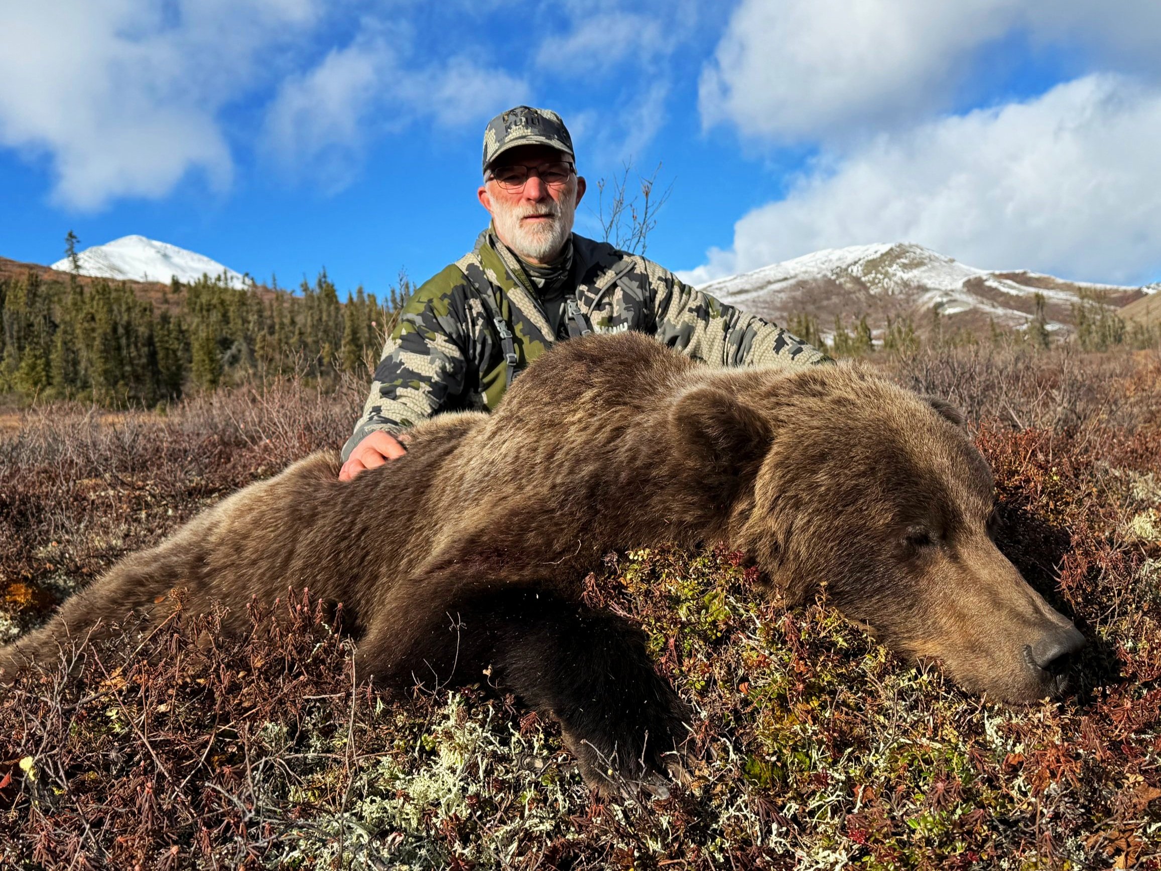 Guided Grizzly Bear Hunts in The Yukon | Yukon Grizzly Hunting ...